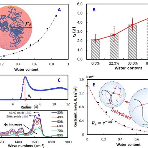 Microscopic Transition During Dehydration A Diffusion Coefficient Of