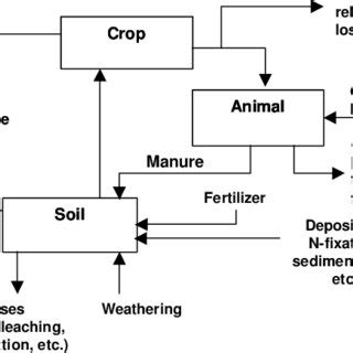 System Of Nutrient Flow On A Farm Modified From King 1990 Download Scientific Diagram