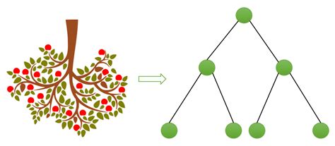 数据结构小记【python c 版】——树与二叉树篇 腾讯云开发者社区 腾讯云