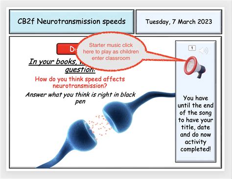 The Nervous System CB2e Edexcel GCSE Combined Science Teaching