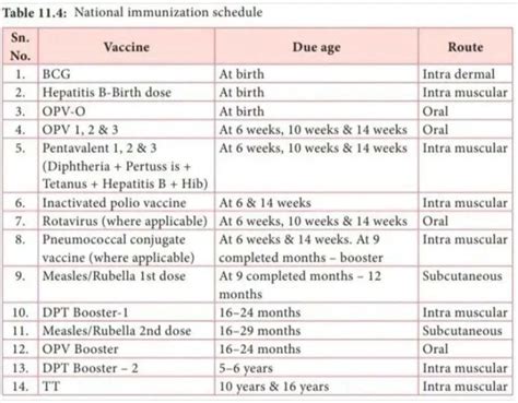 National Immunization Schedule Medizzy