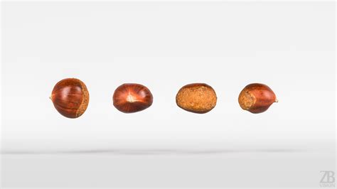 Artstation Chestnut 001 Game Assets