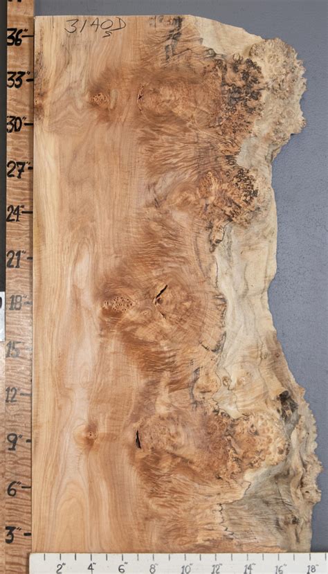5a Spalted Burl Curly Maple Nwt 3140d