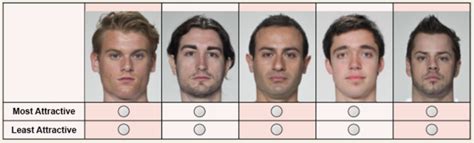 Developing A Best Worst Scaling Bws Aka Maxdiff Free Web App