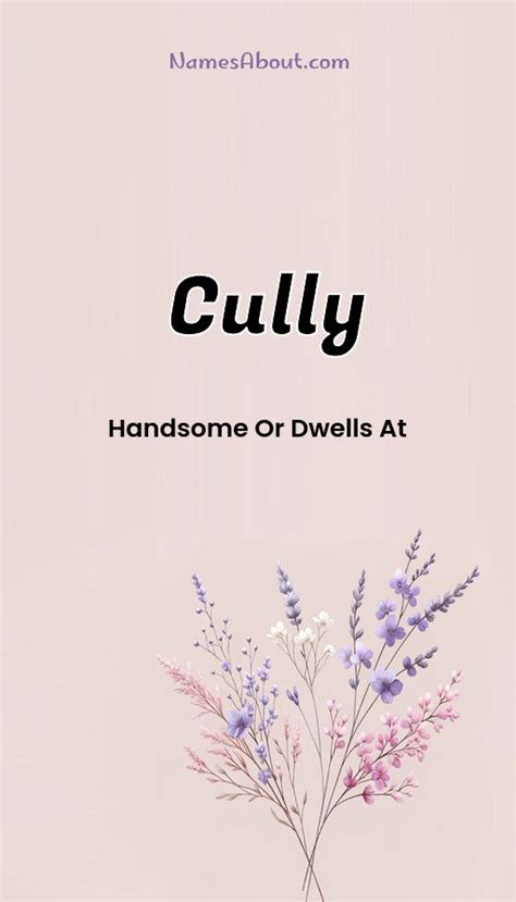 Cully Name Meaning And Origins Nicknames Sibling Ideas