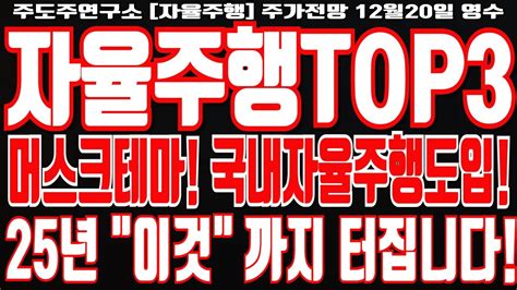 자율주행 주가전망 머스크and트럼프가 직접 주도하는 자율주행테마 국내 자율주행 규제 철폐 그리고 이것 까지 터집니다
