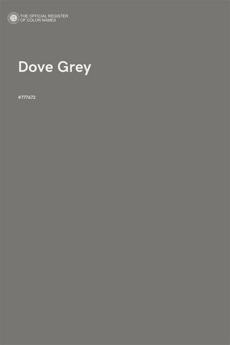 Dove Grey Color 777672
