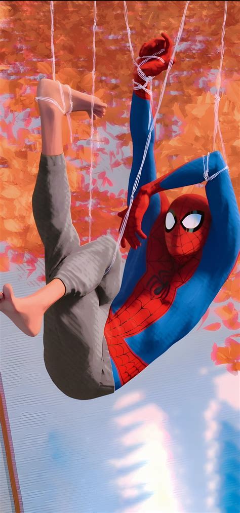 Peter B Parker Wallpapers Top Free Peter B Parker Backgrounds Wallpaperaccess