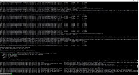 Lighthouse Syncing Properly Rethstaker
