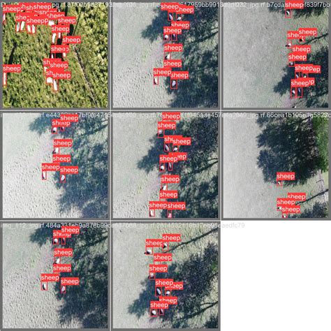 Keremberkeyolov5s Aerial Sheep · Hugging Face