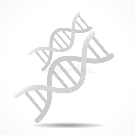 Dna Code Icon Isolated On White Background Science Concept Stock Vector Illustration Of Chain