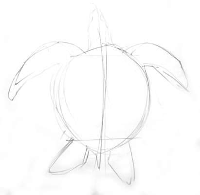 Sea Turtle Drawing Tutorial Turtle Drawing Sea Turtle Drawing Turtle Watercolor