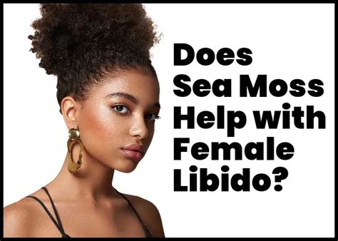 Does Sea Moss Increase Libido And Boost Your Sex Drive