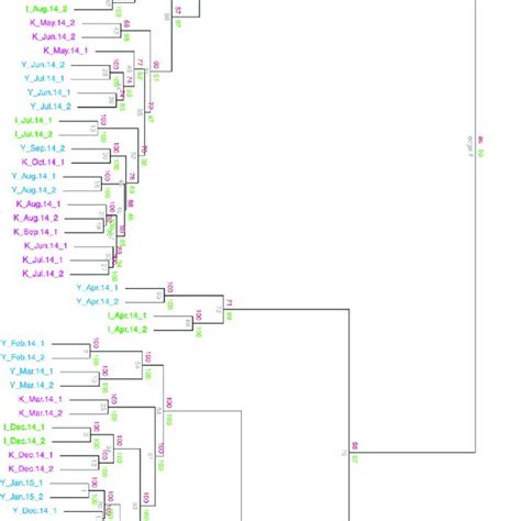 Hierarchical Clustering Of 78 Samples Collected From The Three Sites Download Scientific