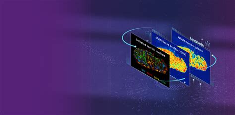 Stomics Stereo Seq Advanced Spatial Multi Omics Technology