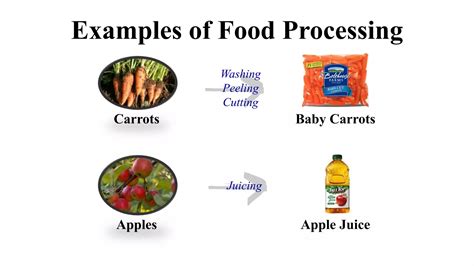 Lecture 5 Food Processing Pptx