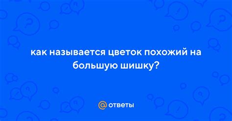 Ответы Mail как называется цветок похожий на большую шишку