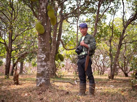 Can A Carbon Offset Project Really Secure Indigenous Rights In