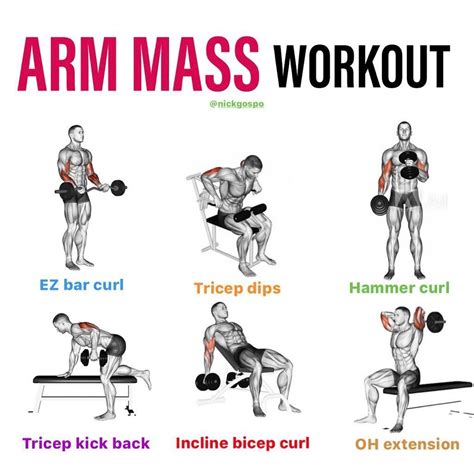 Tricep Curls Men Tricep Curls Men