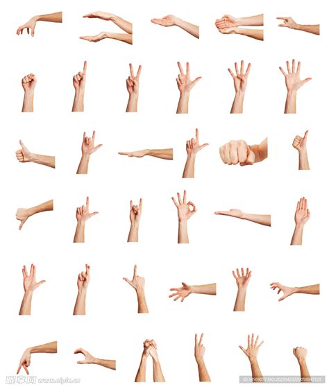 各种手势合集设计图 图片素材 其他 设计图库 昵图网