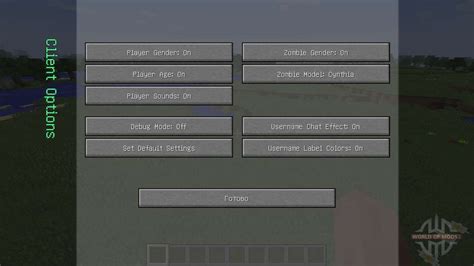 Female Gender Option For Minecraft