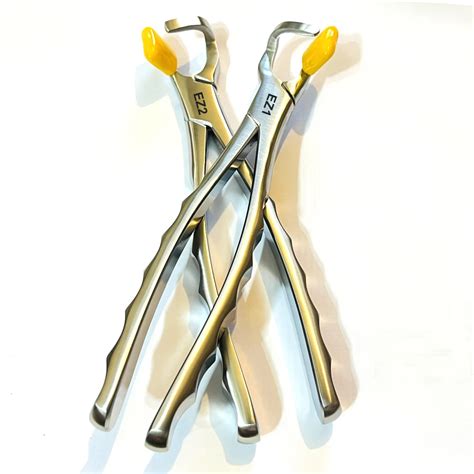 Physics Forceps Molar Transform Your Dental Practice