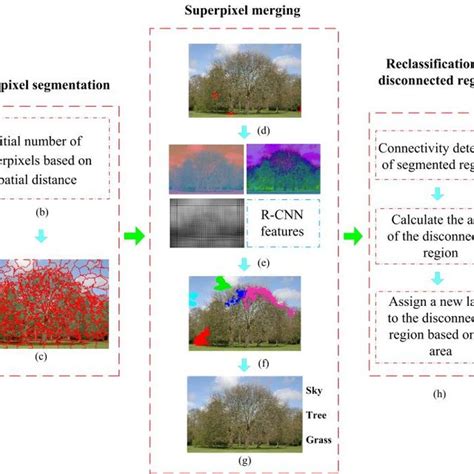 Overview Of Our Proposed Algorithm A Input Image B Initial Number