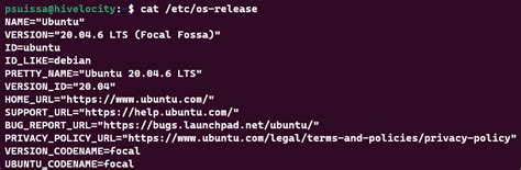 How To Check Linux Version Os And Kernel Hivelocity Hosting