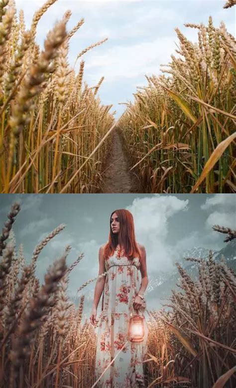 45 Fresh New Photoshop Tutorials Learn Exciting Photo Manipulation Tricks Idevie