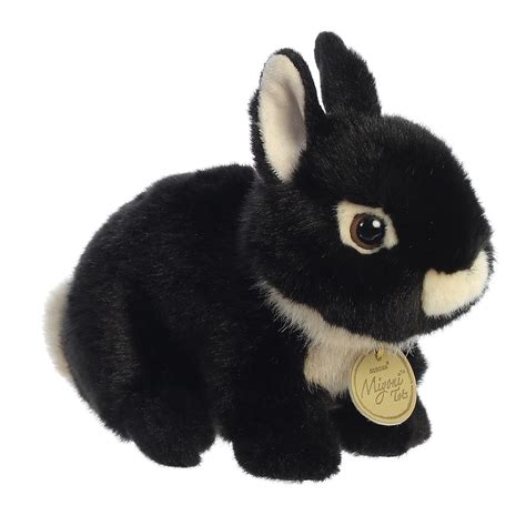 Dwarf Dutch Rabbits