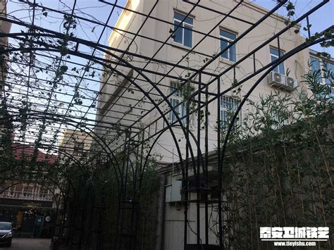 铁艺廊架大图平顶铁艺花廊架效果图钢管铁艺联廊架钢管大山谷图库