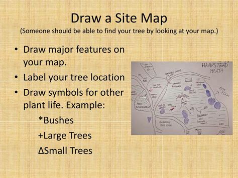 PPT Adopt A Tree Project PowerPoint Presentation Free Download ID 1892682