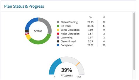 understanding status and progress envisio