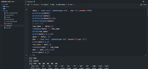 Miniconda安装python和r构建vscode jupyter Loong Loong 博客园