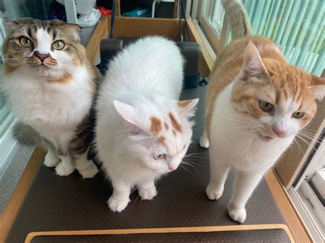 네 아파트 베란다에서 필라테스를 한다고요 집꾸미기 스타일