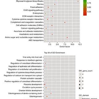RNA Sequencing Analysis Results A GO And KEGG Analyses Of Download Scientific Diagram
