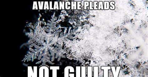 Each Snowflake In An Avalanche Pleads Not Guilty Meme On Imgur