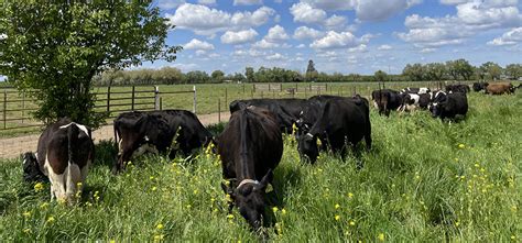John Snider Memorial Award Center For Regenerative Agriculture And Resilient Systems Chico State