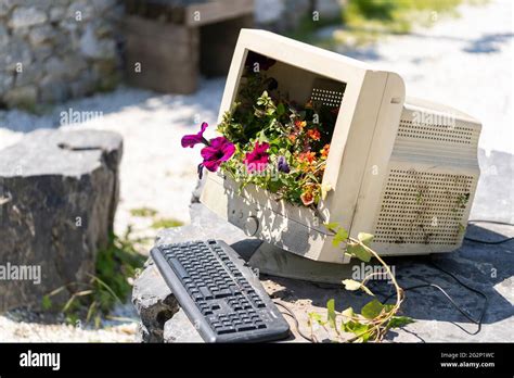 A Re Purposed Recycled Computer Monitor With Flowers Growing Out Of