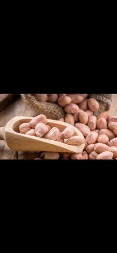 Mungfali Dana At ₹ 95 Kg Peanut Seed In Beawar Id 27216141555