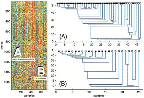 coupled two way clustering analysis of gene microarray data pnas