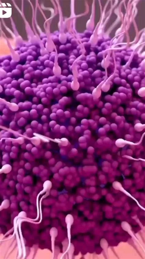 Pin on Pins criados por você