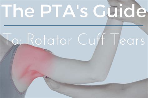 Rotator Cuff Exercises Pdf