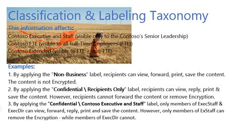 Solved Classification And Labeling Taxonomy And This Information