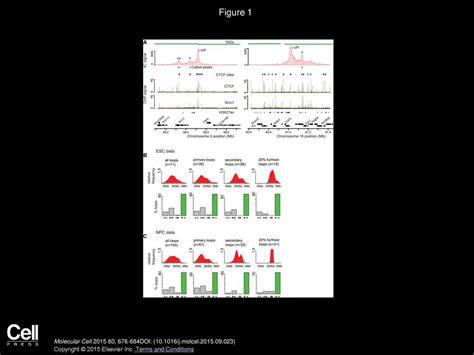 ctcf binding polarity determines chromatin looping ppt download