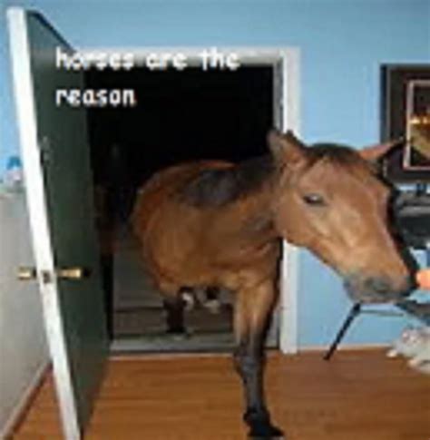 Makes Sense Album On Imgur