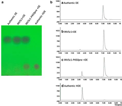 Tlc Analysis Procedure At William Behm Blog