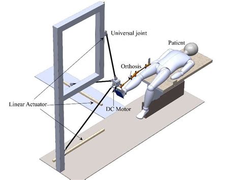 Proposed Lower Limb Rehabilitation Robot Download Scientific Diagram