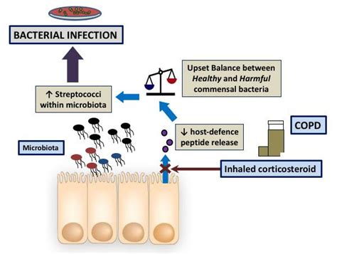 Inhaled Corticosteroid Drugs Worsen Bacterial Eurekalert